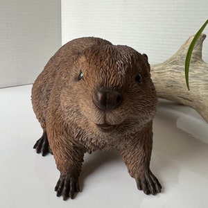 Baby Beaver Kit Figurine / Indoor Outdoor Statue/ Porch, Patio, Yard ...