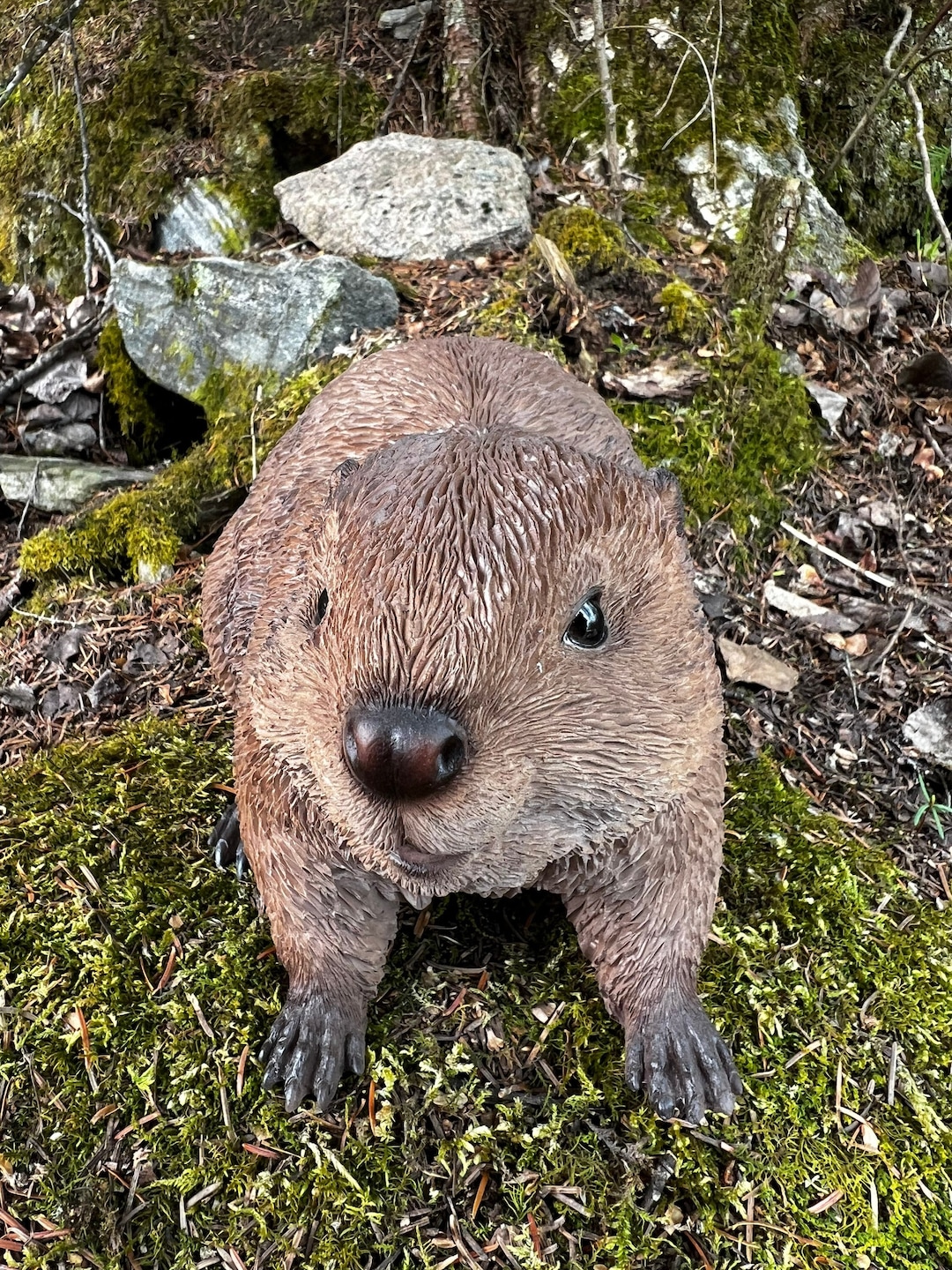 Baby Beaver Kit Figurine / Indoor Outdoor Statue/ Porch, Patio, Yard ...