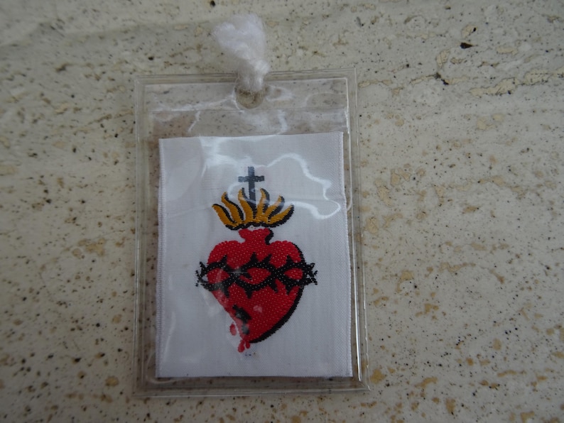 Religious Catholic Scapular Relic Shrine Medallion Pendant of Cloth ...