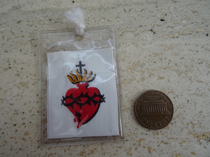Religious Catholic Scapular Relic Shrine Medallion Pendant of Cloth ...