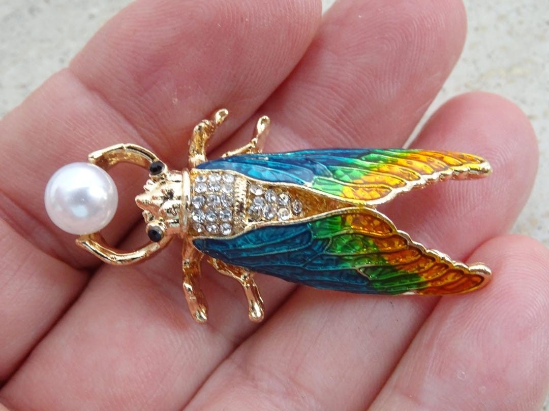 Vintage French Cicada Brooch, Brocante Brooch of a Cicade, Vintage ...