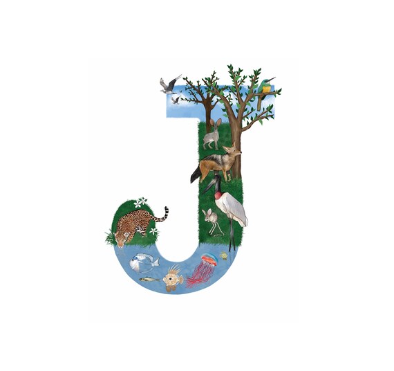 Animal Art Print Letter J Animals That Begin With J - Etsy