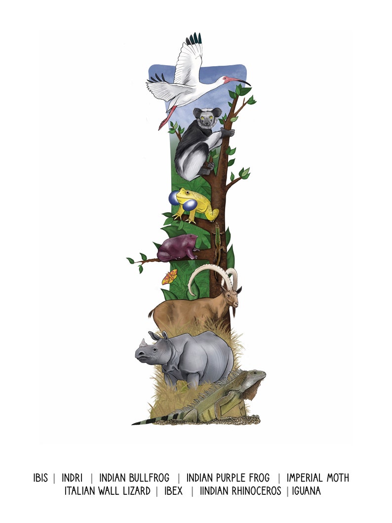 Animal Art Print Letter I Animals That Begin With i Unique Gift for ...