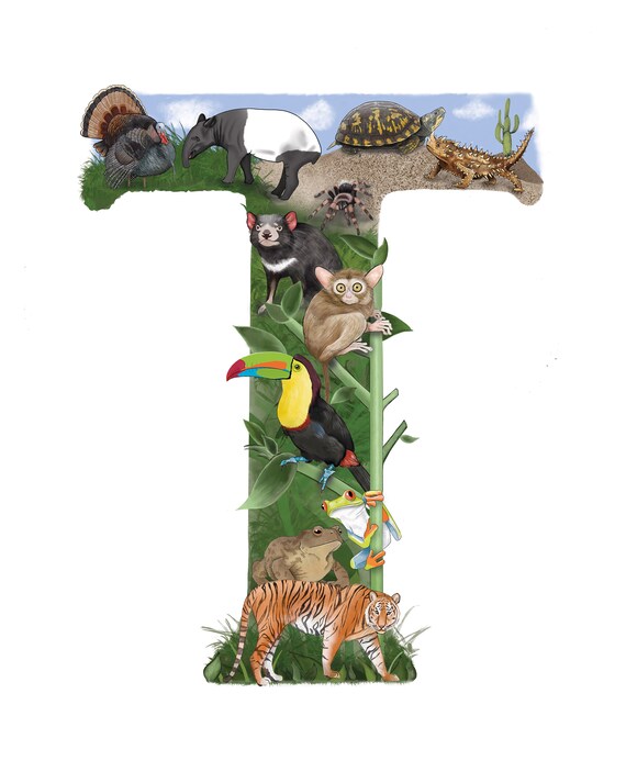Animal That Starts With The Letter T