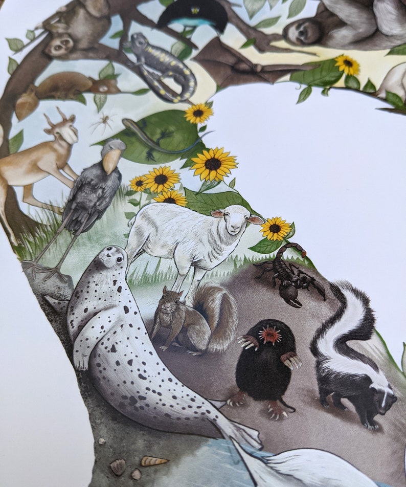 Animal Art Print Letter S Animals That Begin With S - Etsy