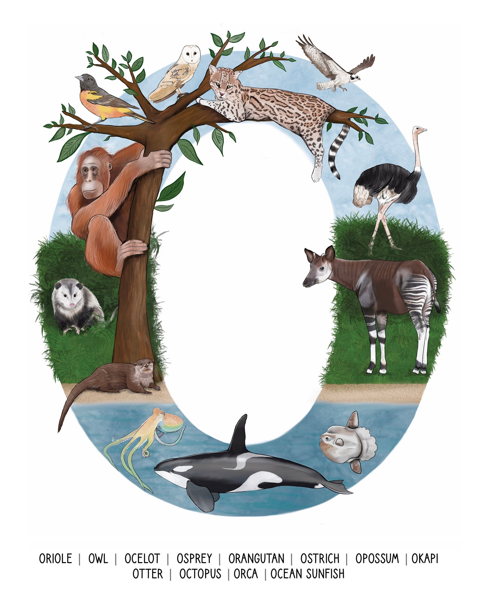 Animal Art Print Letter O Animals That Begin With O - Etsy