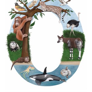 Animal Art Print Letter O Animals That Begin With O - Etsy