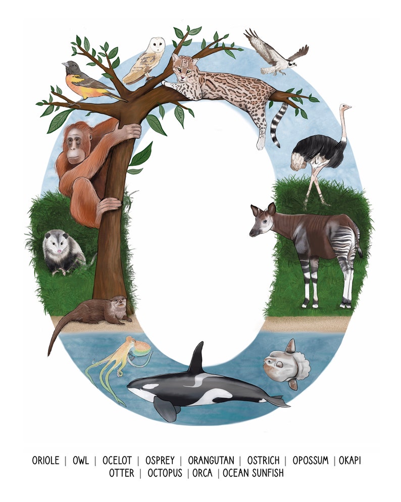 Animal Art Print Letter O Animals That Begin With O - Etsy