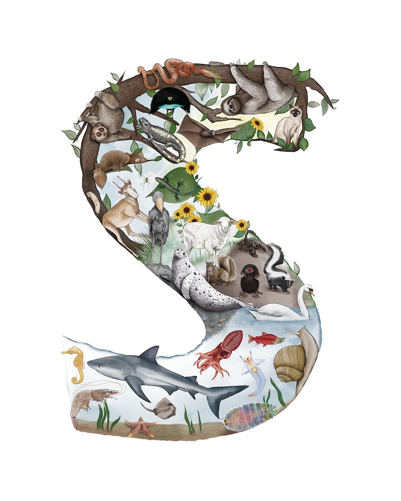 Animal Art Print Letter S Animals That Begin With S - Etsy