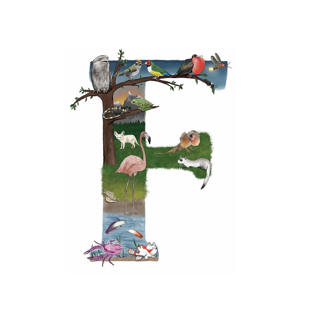Animal Art Print Letter F Animals That Begin With F Unique Gift for ...