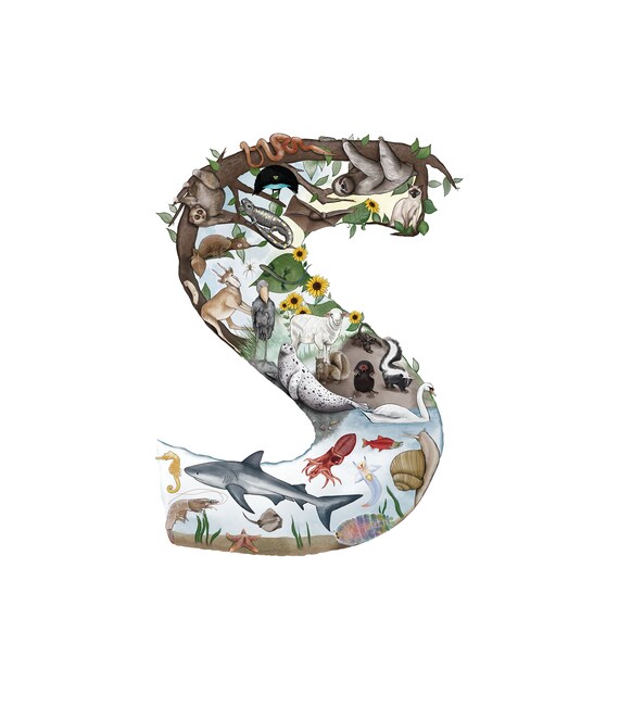Animal Art Print Letter S Animals That Begin With S - Etsy