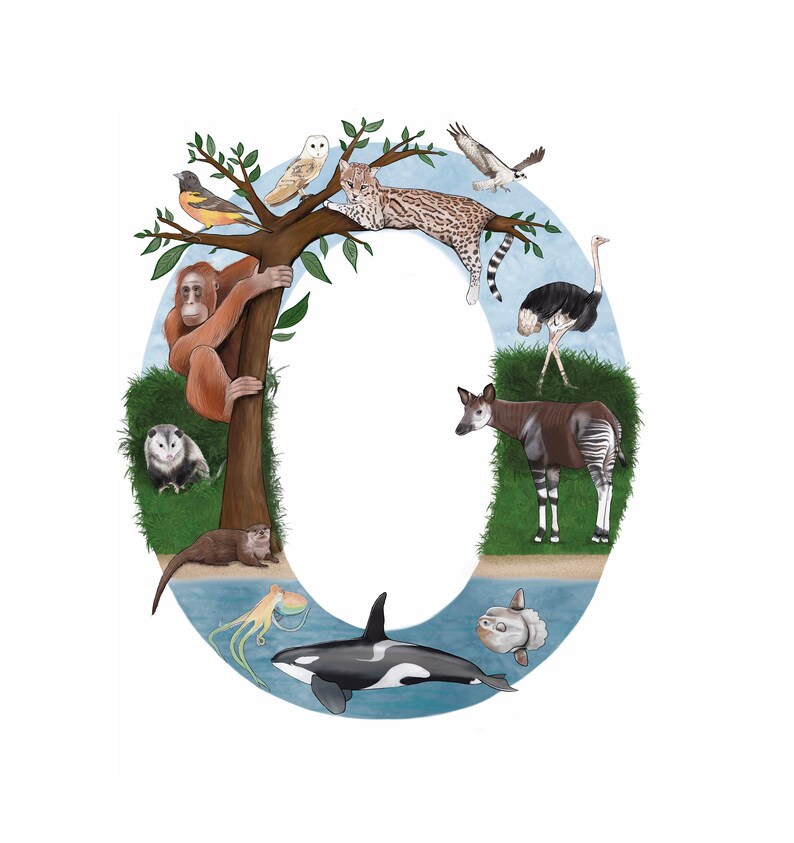 Animal Art Print Letter O Animals That Begin With O - Etsy