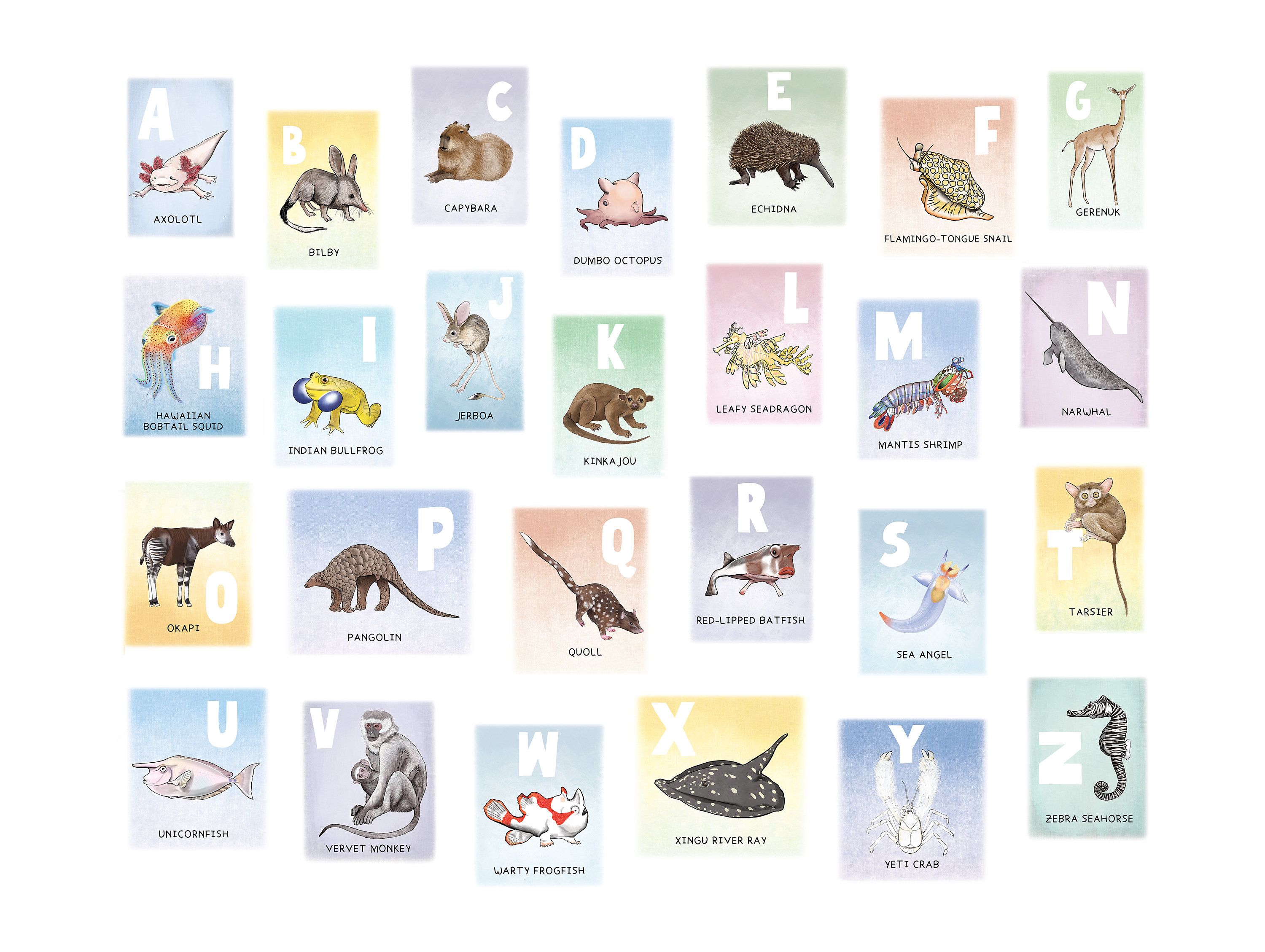 Exotic Animals ABC Poster Educational Wall Art Gift for Baby Nursery ...