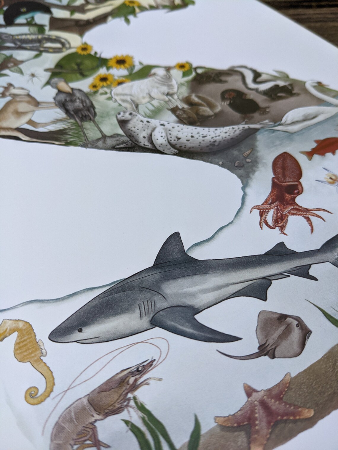 Animal Art Print Letter S Animals That Begin With S - Etsy