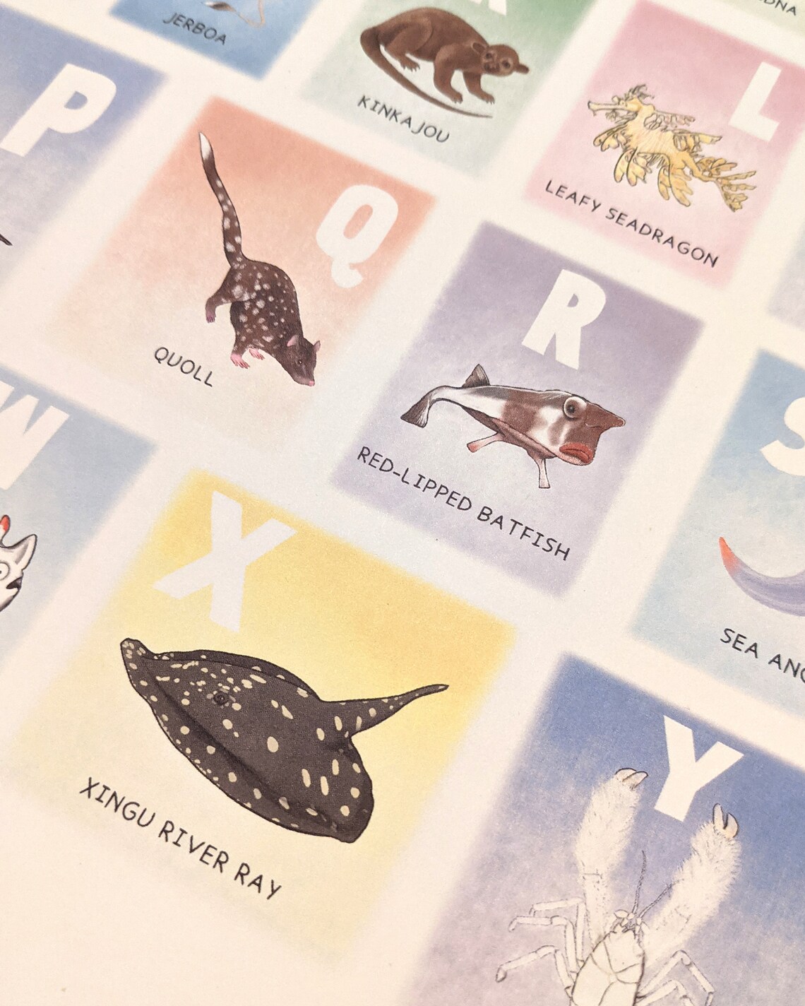 Unusual Exotic Animals ABC Poster Educational Wall Art - Etsy