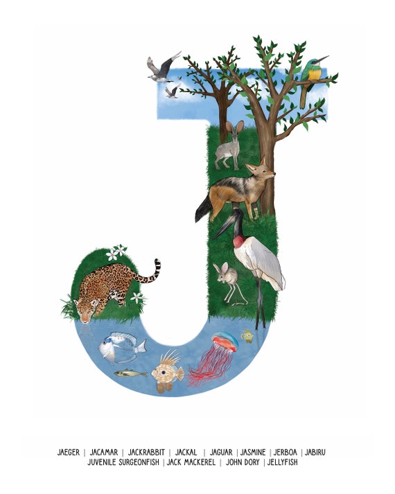 Letter J Animals