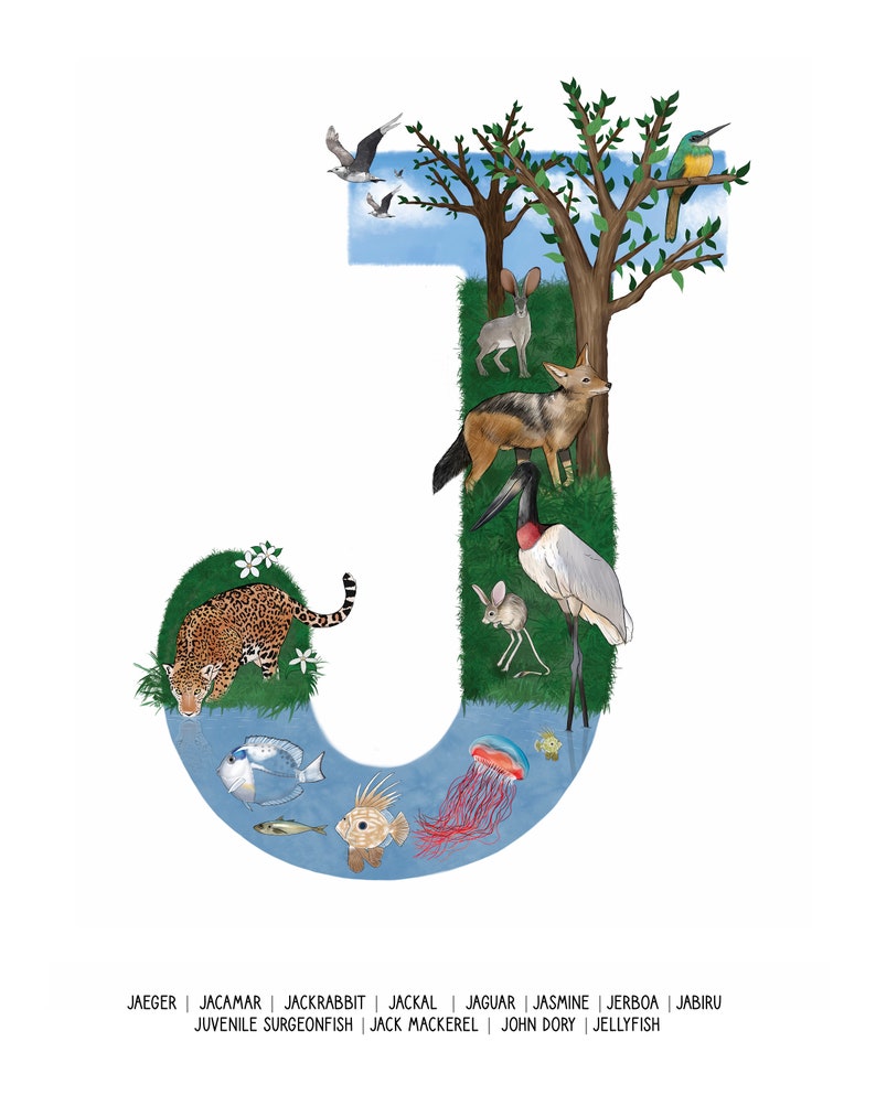 Animal Art Print - Letter J- Animals That Begin With J - Unique Gift ...