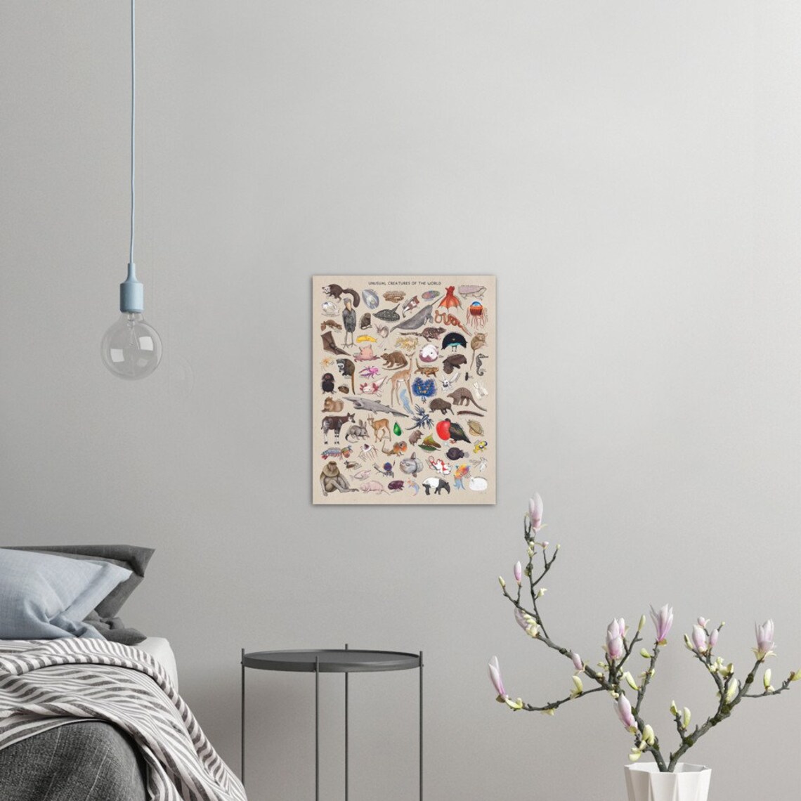 Unusual Animals Poster Educational Wall Art Gift for - Etsy