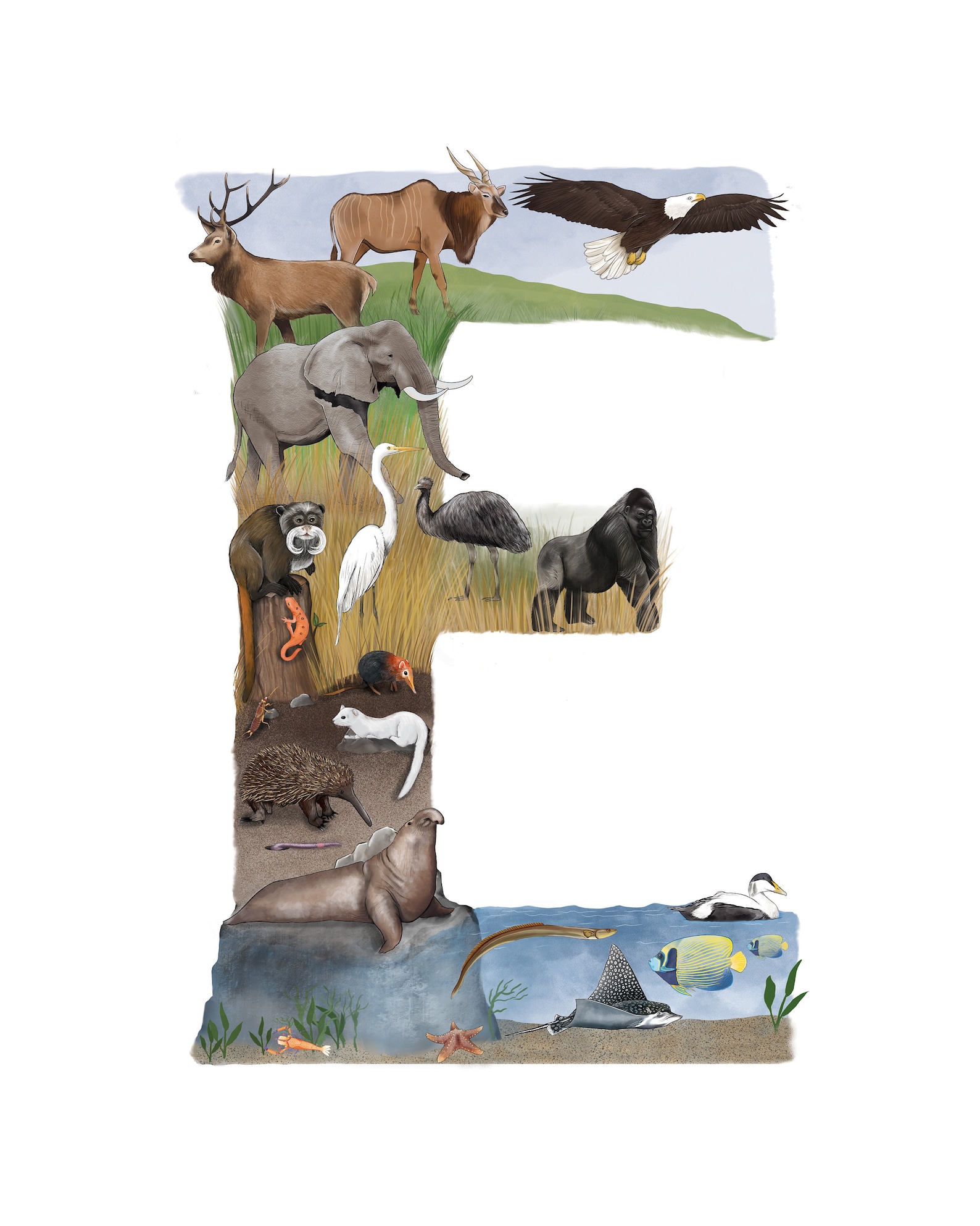 Animal Art Print - Letter E - Animals That Begin With E - Unique Gift ...