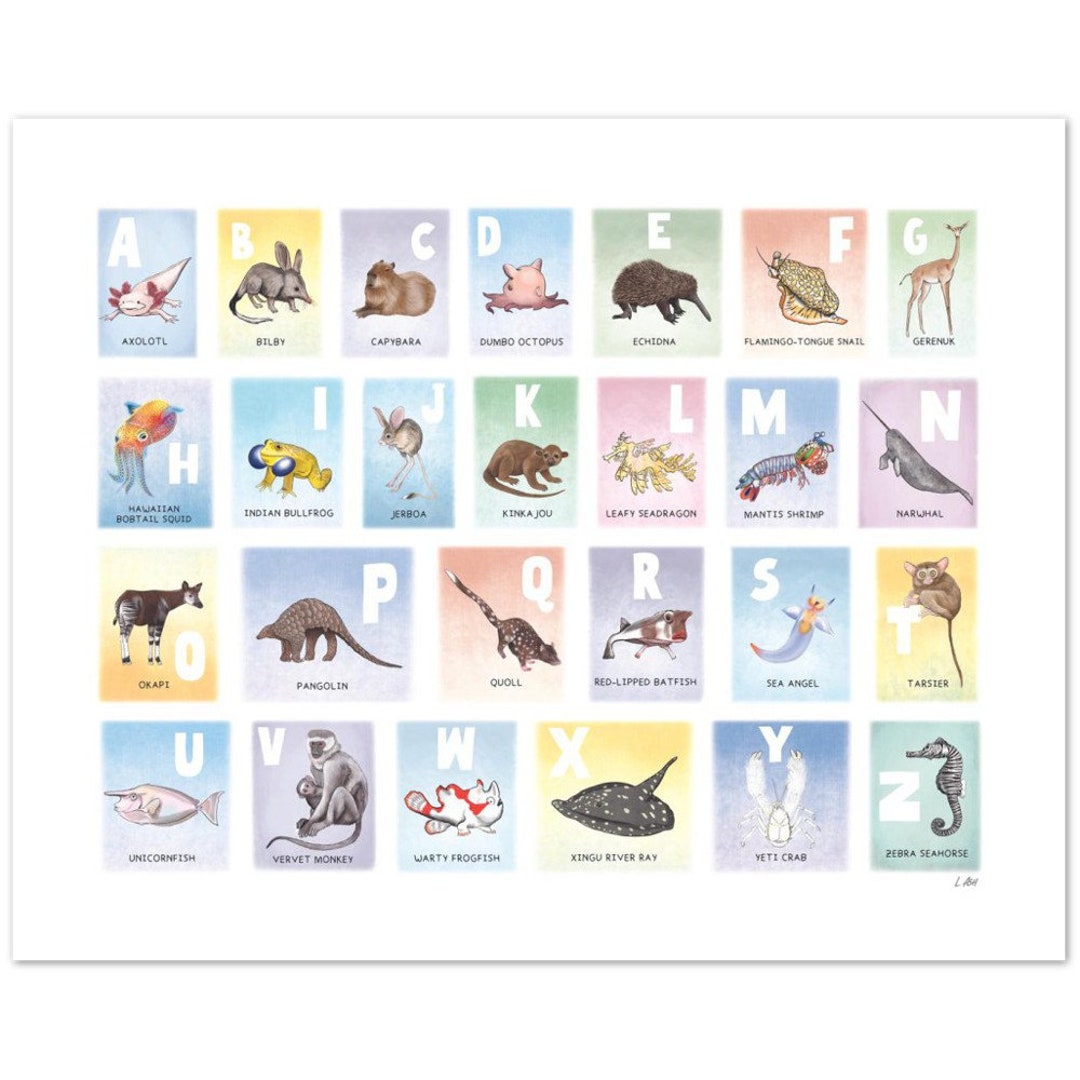 Unusual Exotic Animals ABC Poster Educational Wall Art Gift for Baby ...