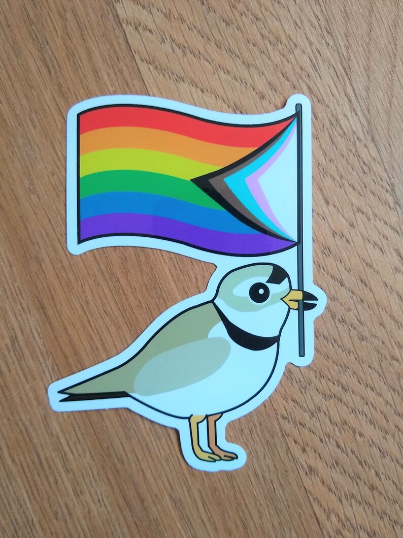 Piping Plover Sticker - Pride Plover - Etsy