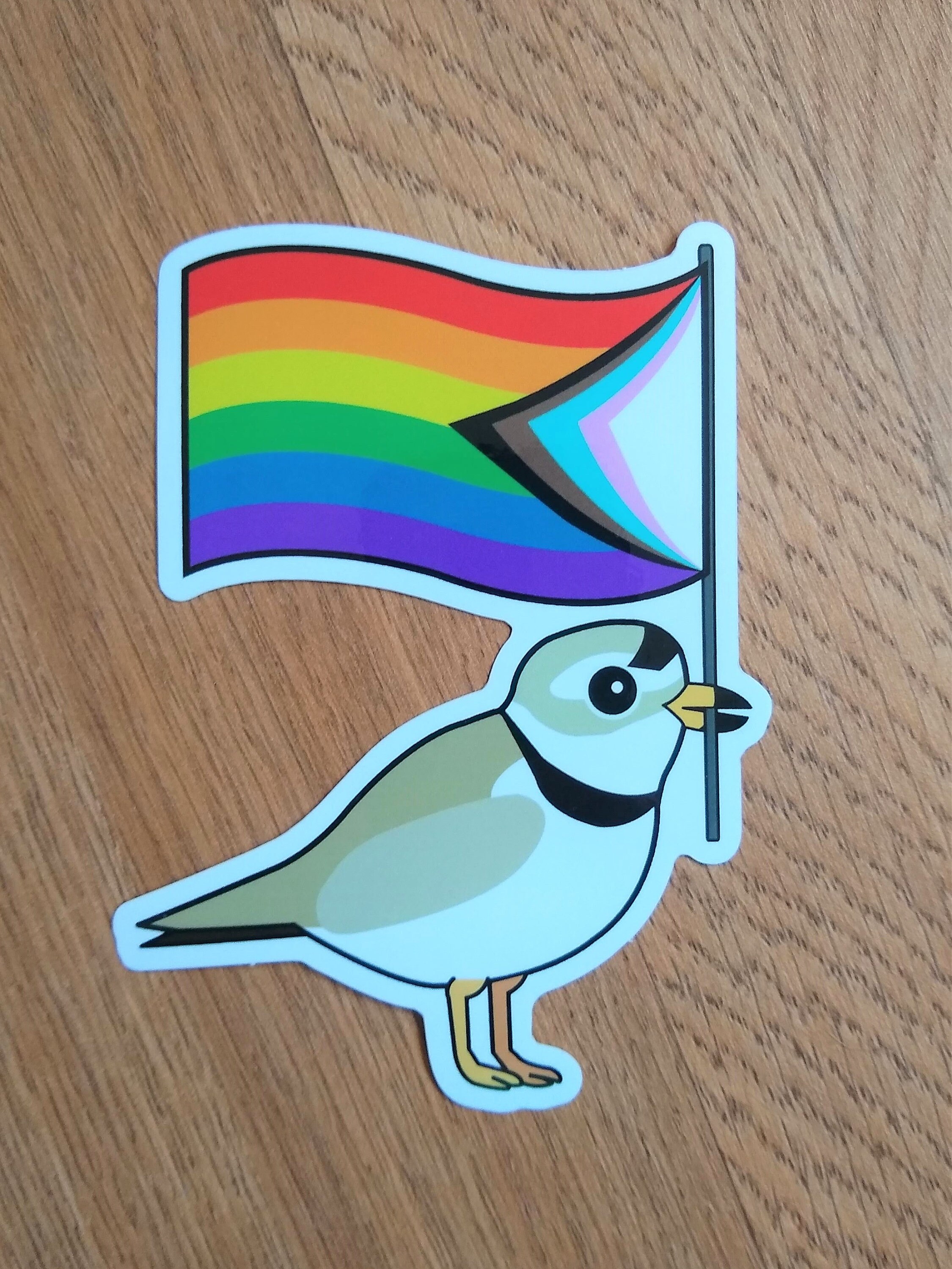 Piping Plover Sticker - Pride Plover - Etsy