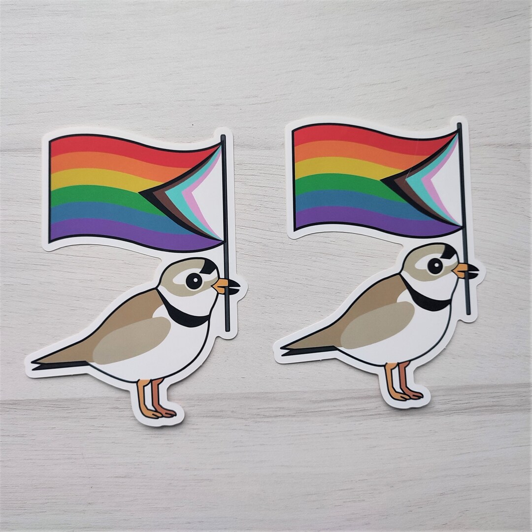 Piping Plover Sticker - Pride Plover - Etsy