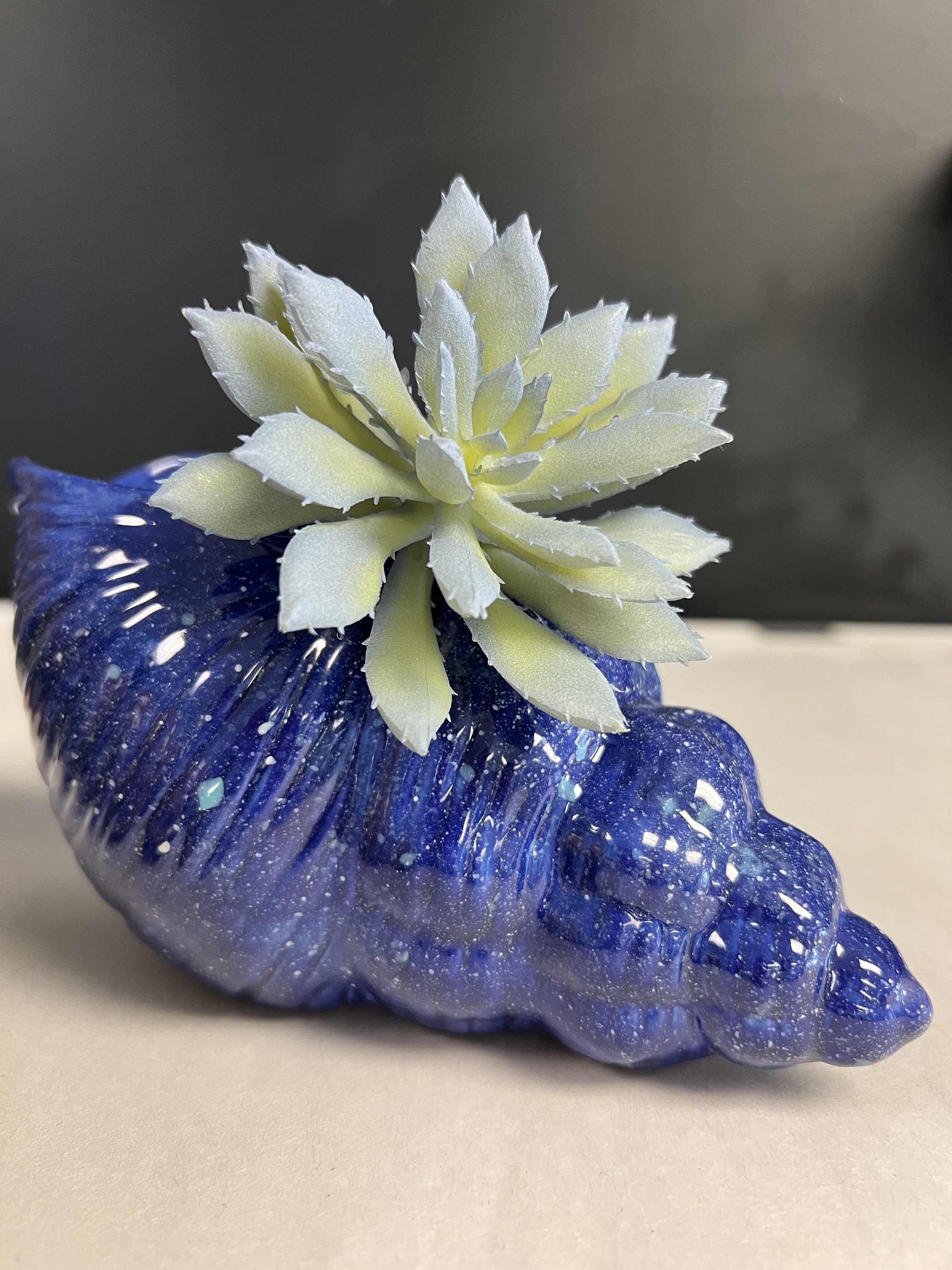 Hand Painted Ceramic Trumpet Shell Planter - Etsy