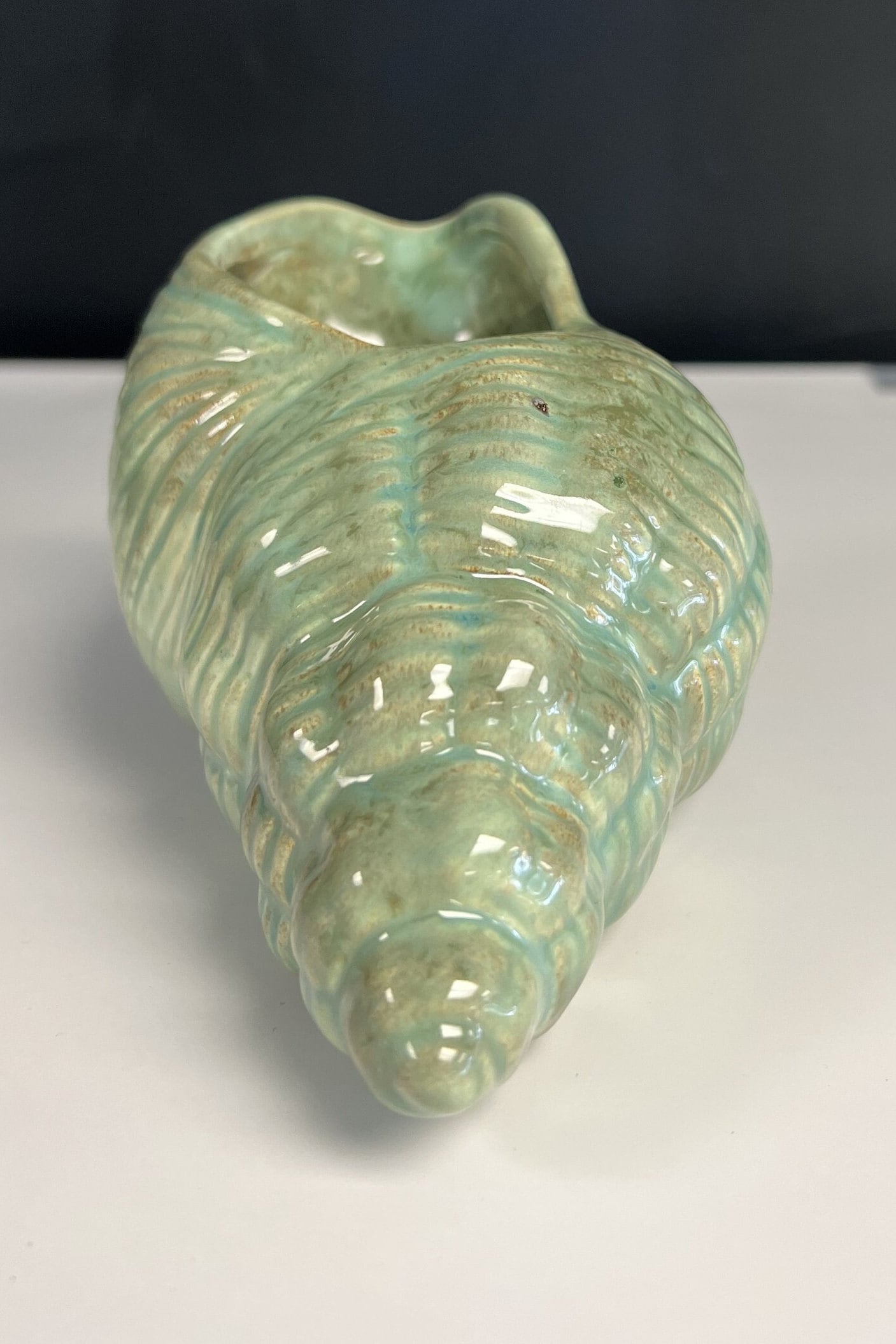 Hand Painted Ceramic Trumpet Shell Planter - Etsy