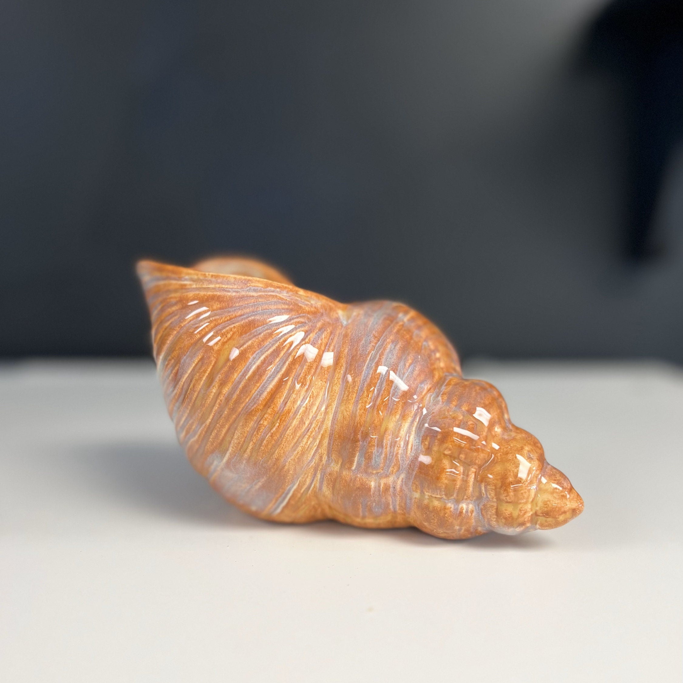 Hand Painted Ceramic Trumpet Shell Planter - Etsy