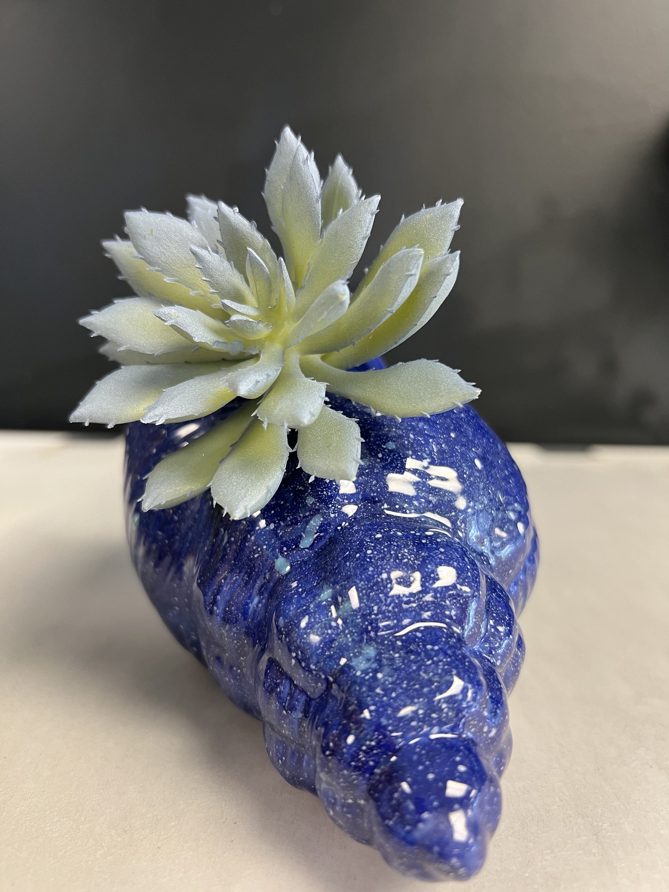 Hand Painted Ceramic Trumpet Shell Planter - Etsy