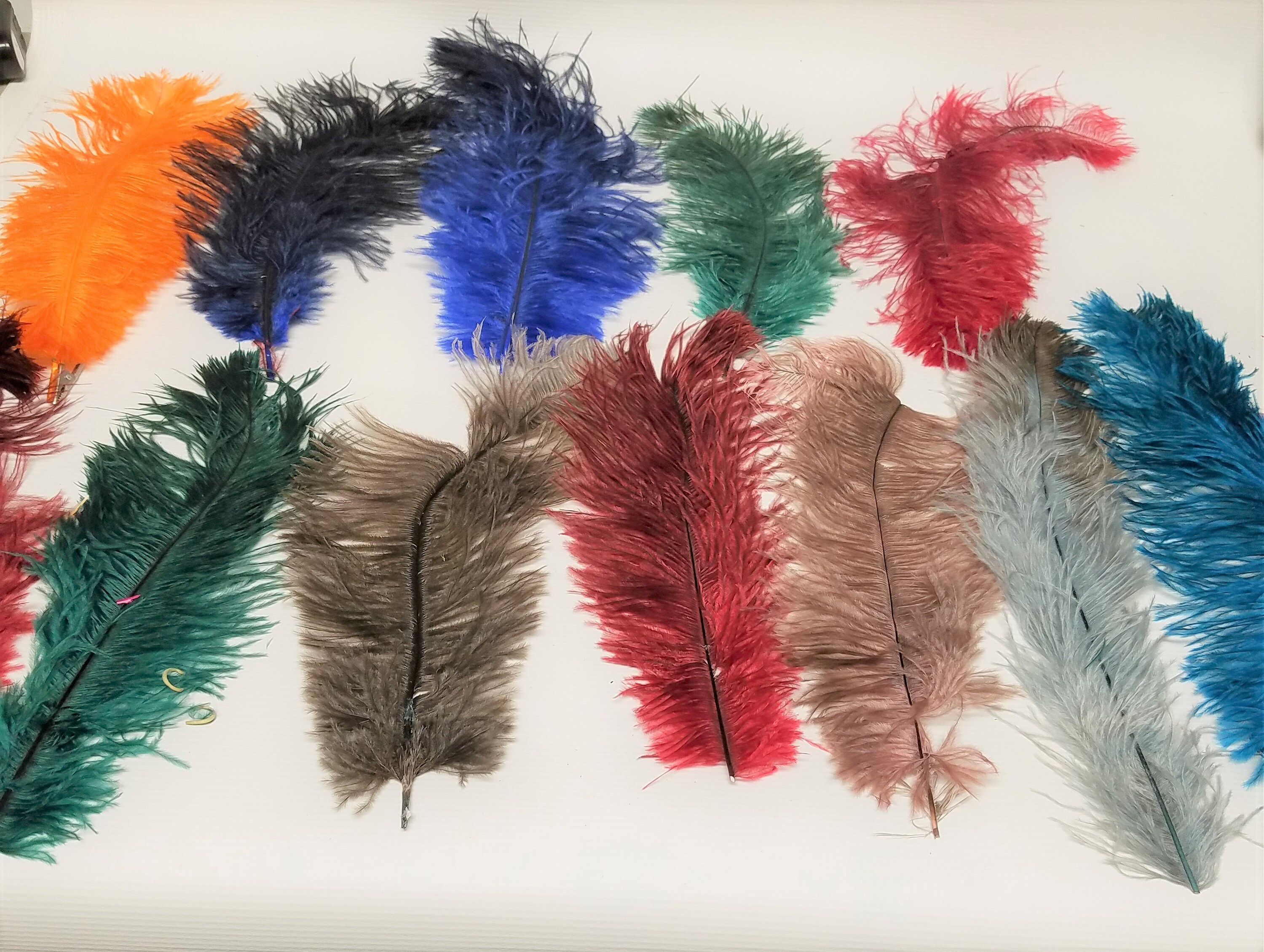 Ostrich Feather Plumes-12 Assorted Colors-ostrich Feather Plum-ostrich ...