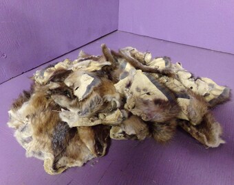 Animal skull mask | Etsy