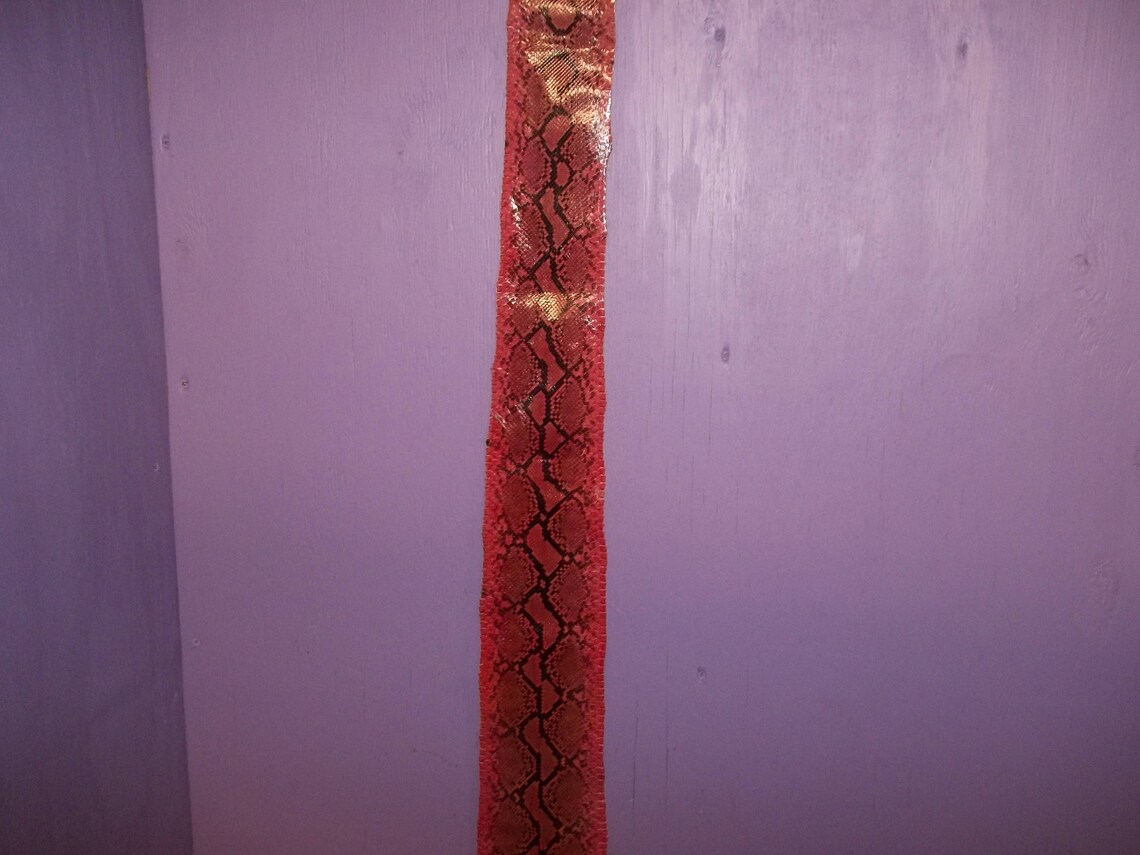 Real Python Snake animal skin hide leather taxidermy art craft | Etsy