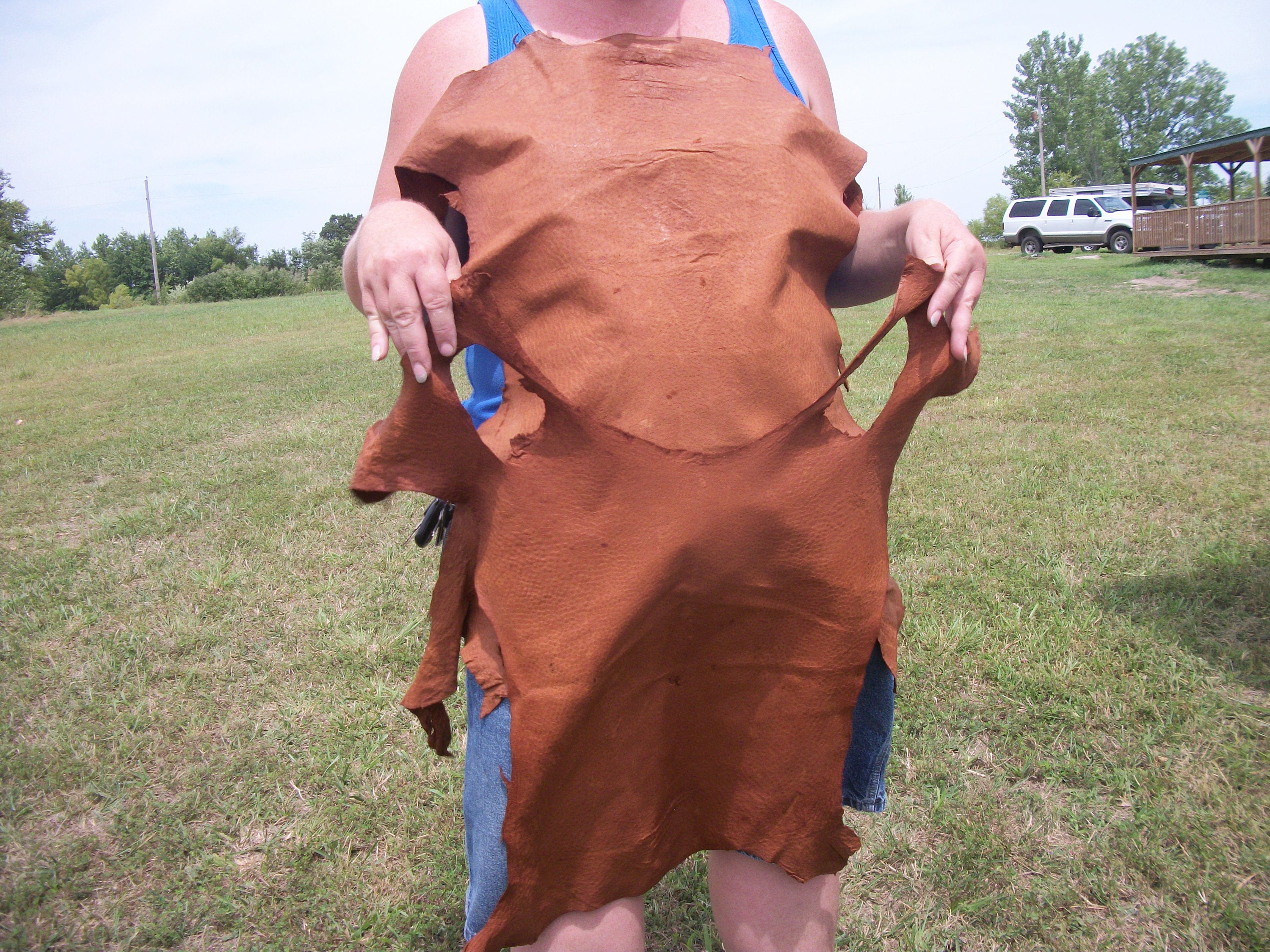 1 Emu tanned leather real animal bird skin taxidermy art craft | Etsy