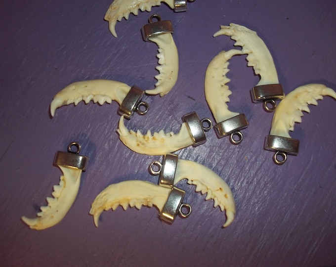 1 Real Animal Mink Jaw Bone Tooth Skull Rodent K-9 Dog Foot Jewelry ...