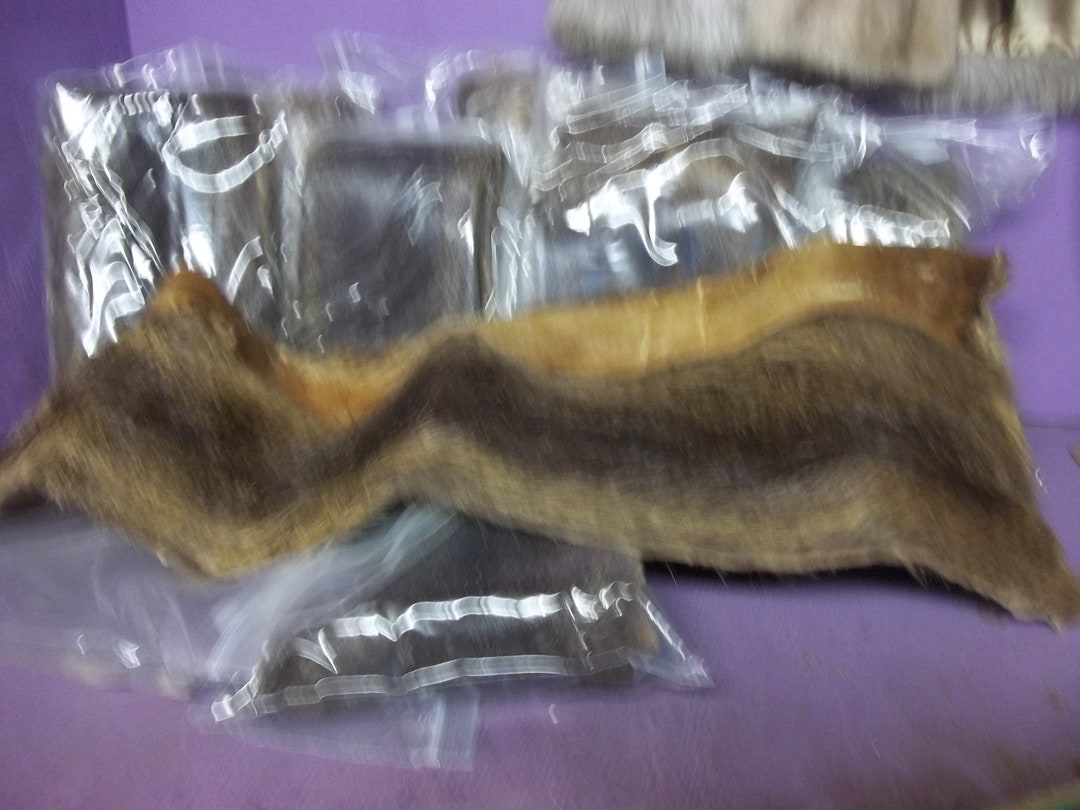 8 Real Animal Nutria Rat Dried Hides Fur Leather Taxidermy Fly Tying - Etsy