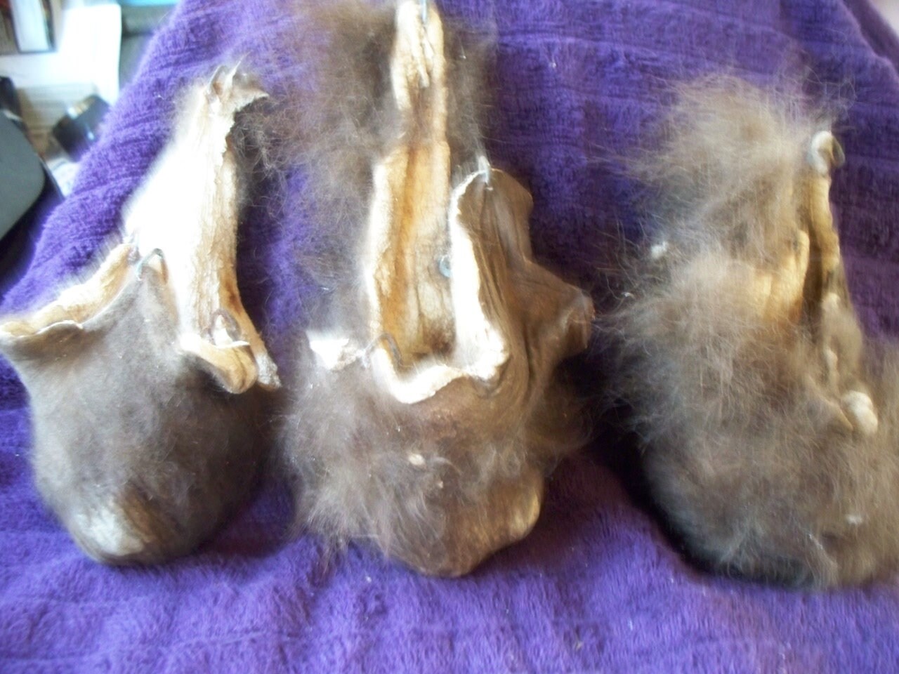 1 Real Buffalo Scrotum Nut Sack Hide Animal Skin Genuine | Etsy