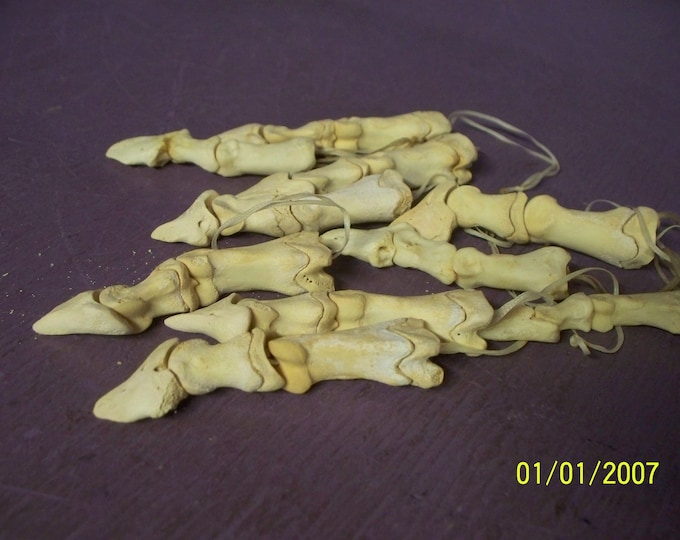 1 Goat Real Animal Foot Toe Leg Taxidermy Skeleton Weird Man Cave Weird ...