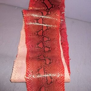 Real Python Snake Animal Skin Hide Leather Taxidermy Art Craft Part ...
