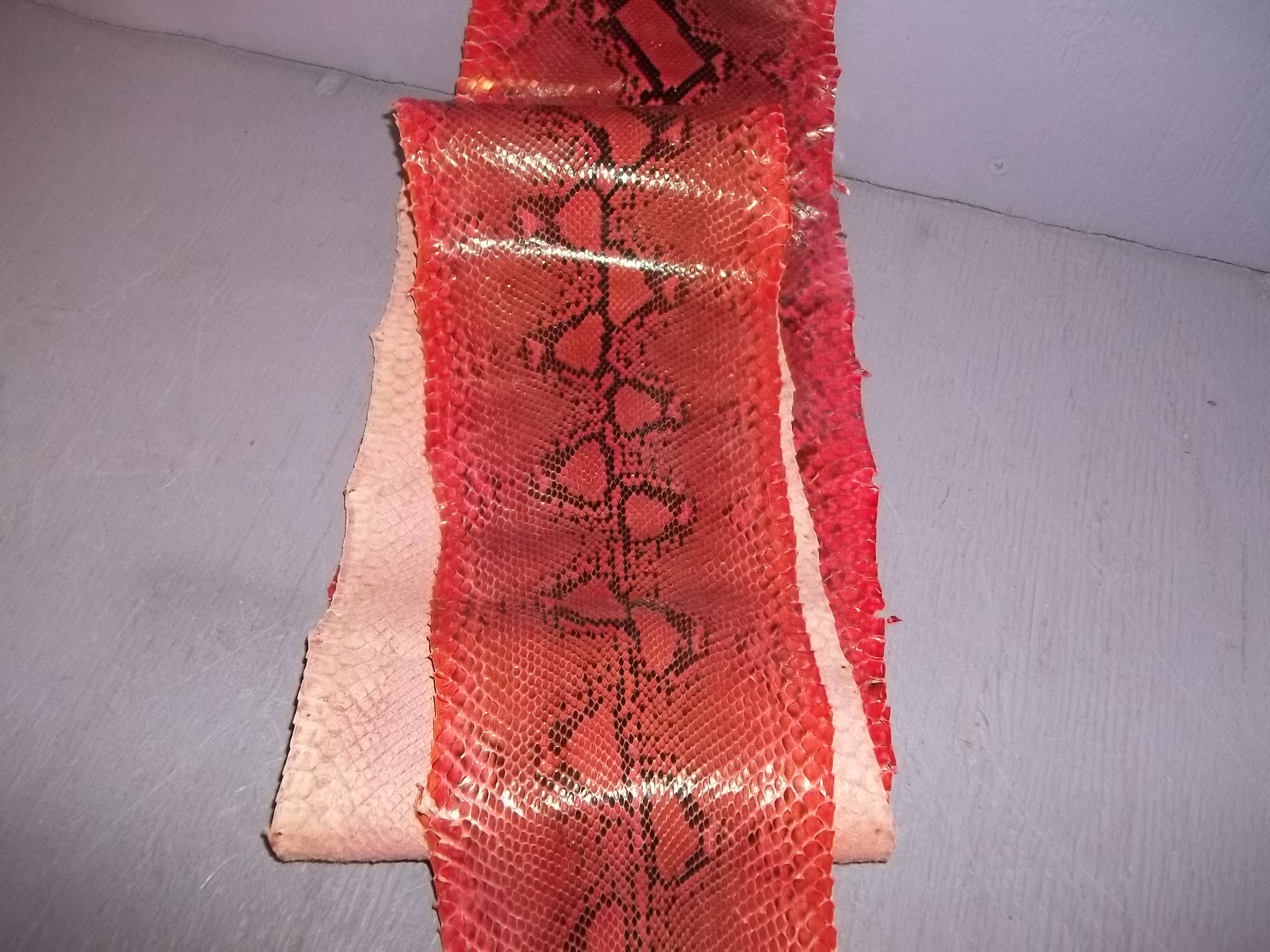 Real Python Snake animal skin hide leather taxidermy art craft | Etsy