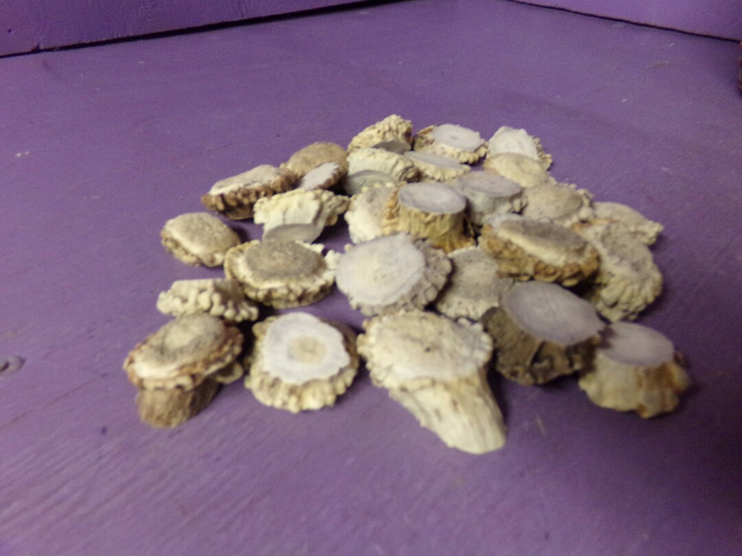 10 Real Deer Antler Rosette Horn Bone Animal Part Piece Head Taxidermy ...