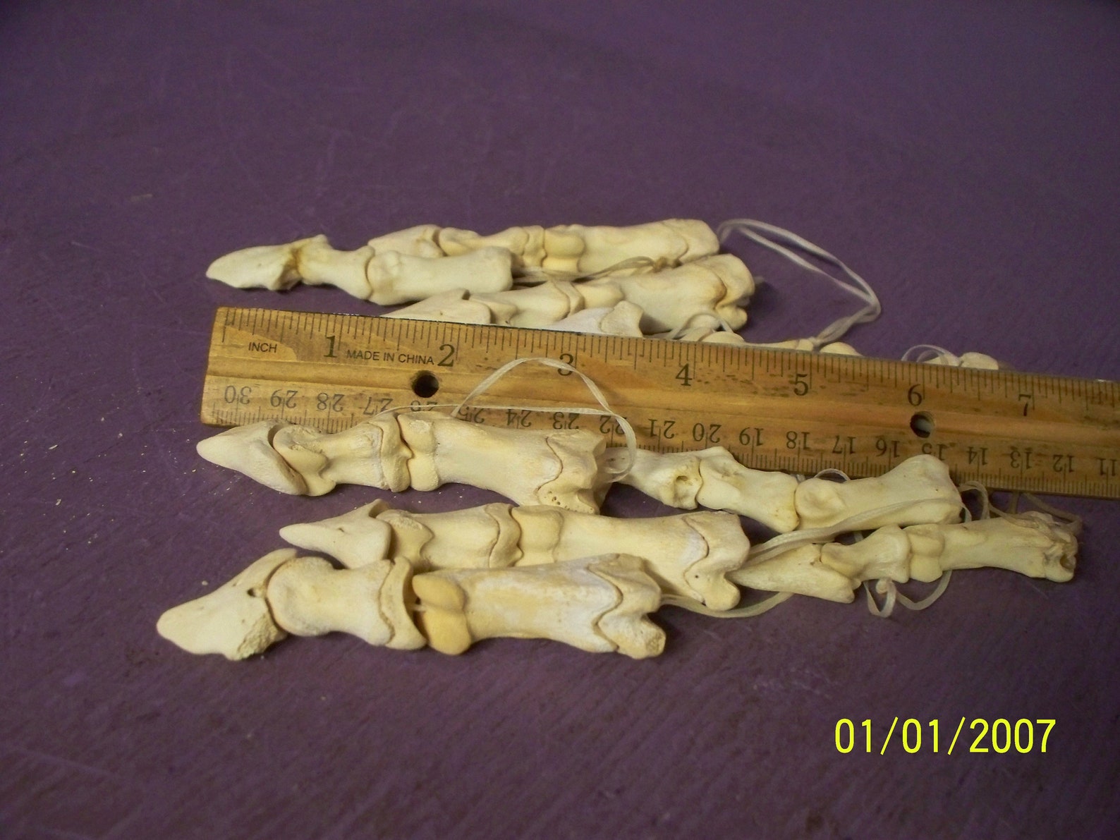 1 Goat Real Animal Foot Toe Leg Taxidermy Skeleton Weird Man - Etsy