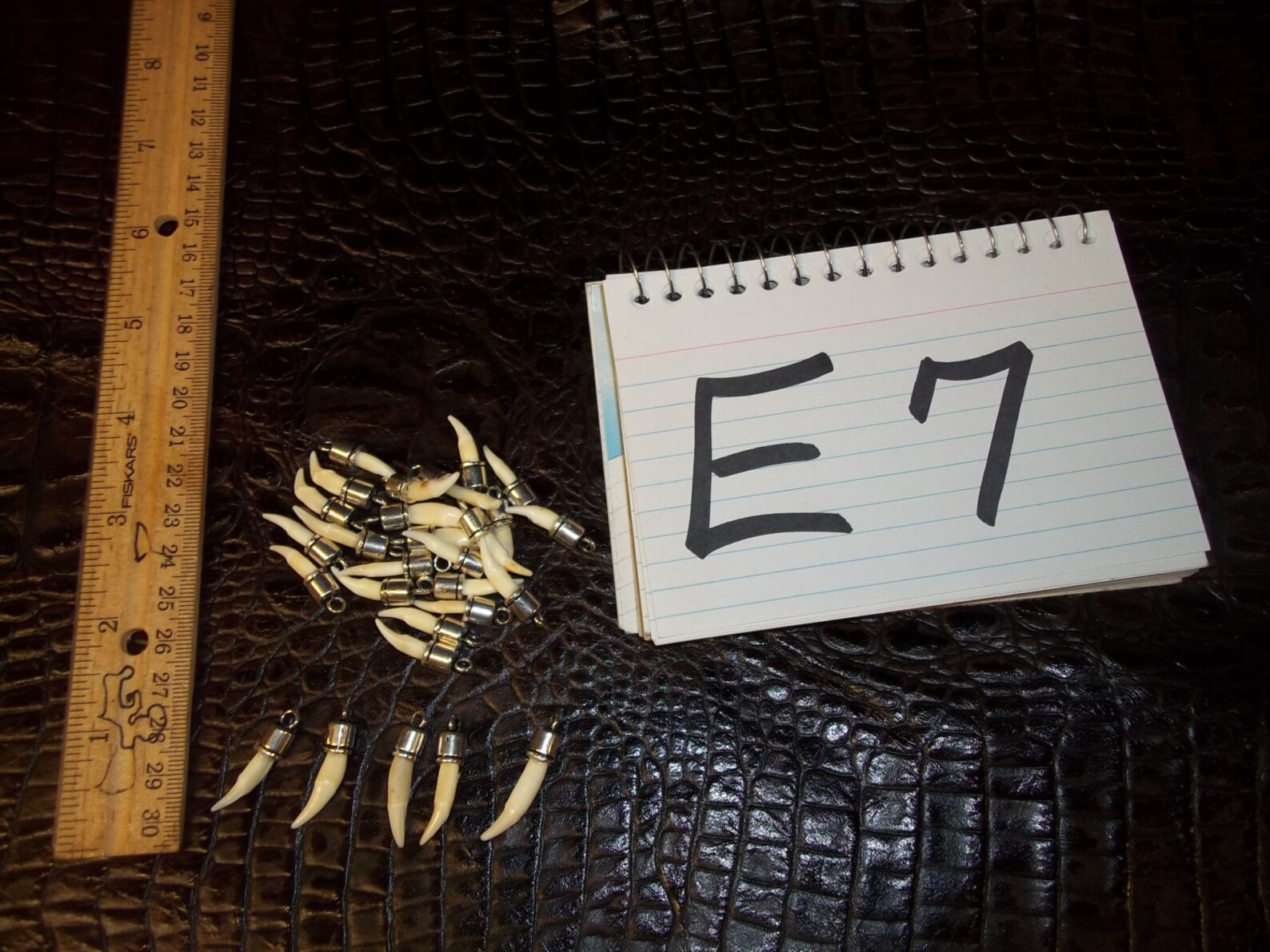 1 Real Animal Mink Fang Tooth Teeth Bone Pendant Skull - Etsy