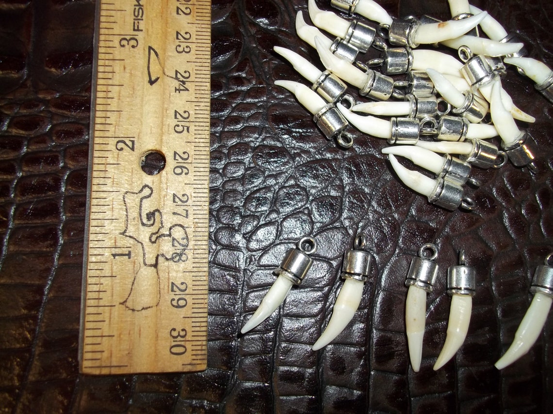 1 Real Animal Mink Fang Tooth Teeth Bone Pendant Skull - Etsy