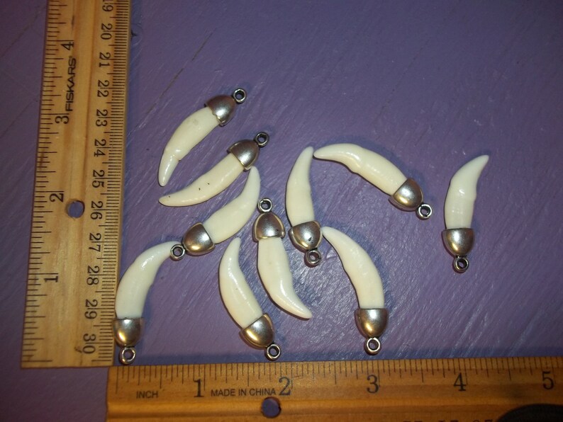 1 Real animal Coyote teeth tooth bone pendant skull k-9 dog | Etsy