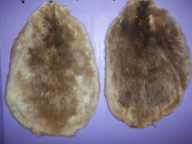 1 Real Animal Tanned Beaver Skin Pelt Hide Fur Pule Rug | Etsy