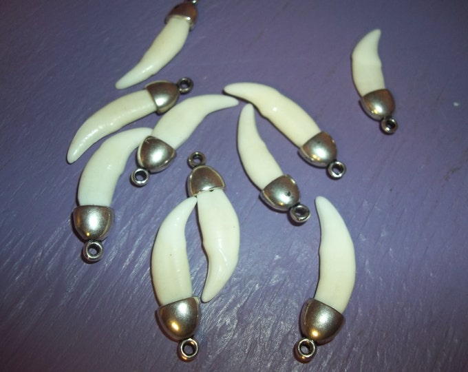 1 Real Animal Coyote Teeth Tooth Bone Pendant Skull K-9 Dog Necklace ...