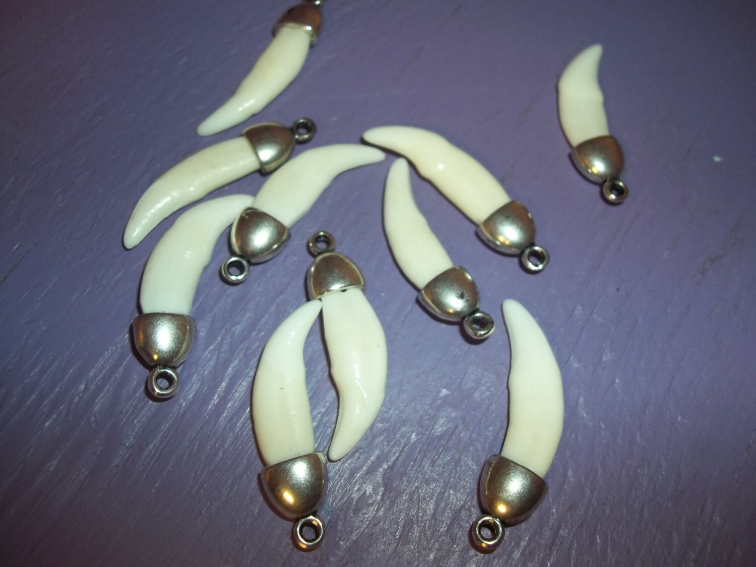 1 Real Animal Coyote Teeth Tooth Bone Pendant Skull K-9 Dog Necklace ...