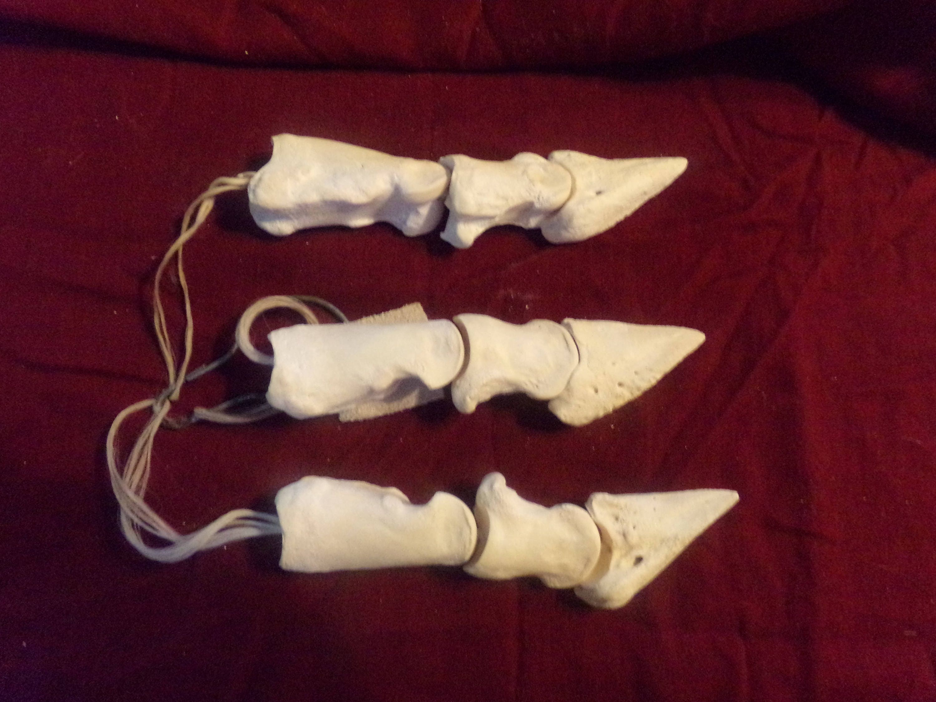 1 large mule deer leg hoof foot toe real animal taxidermy | Etsy